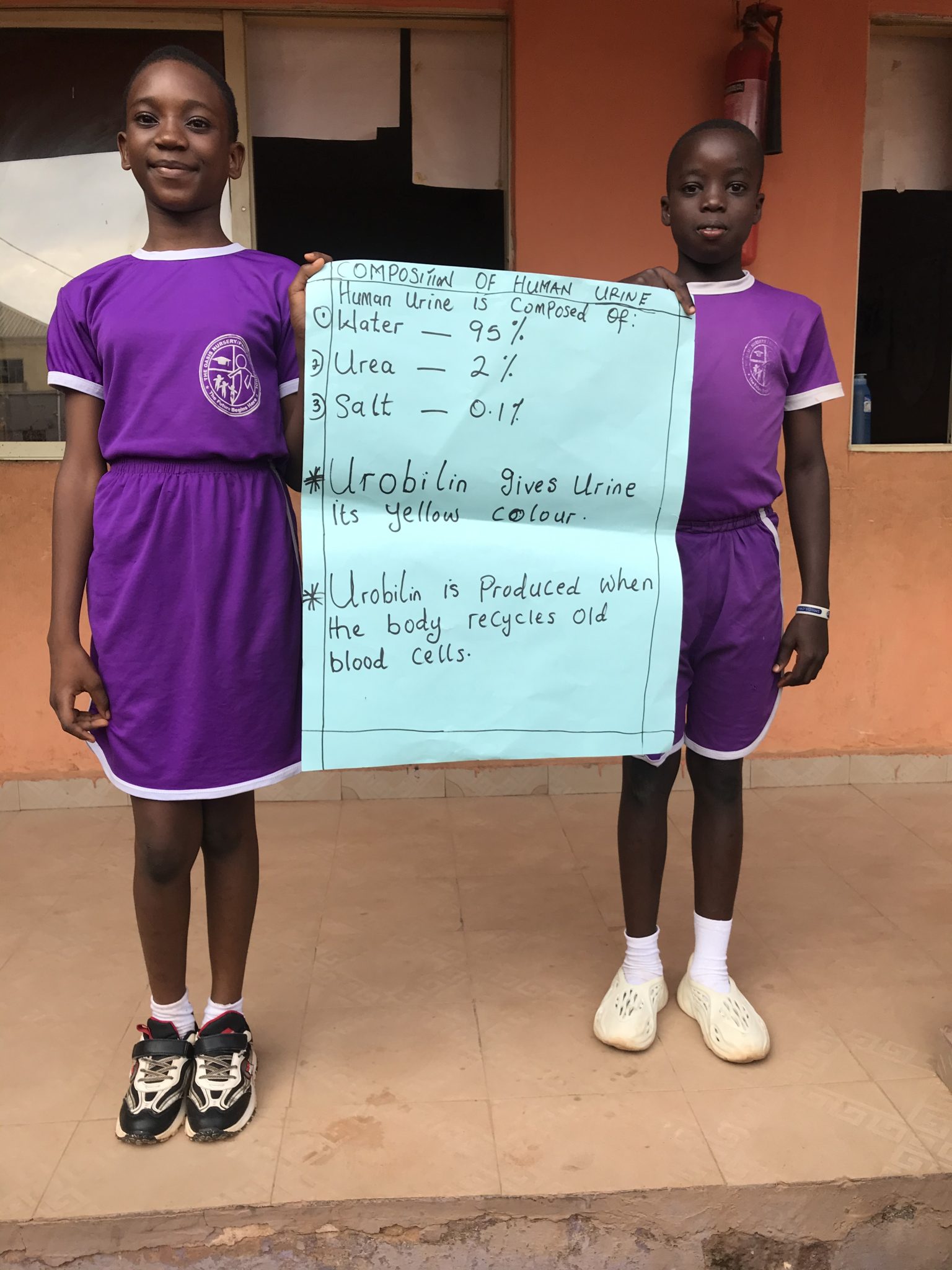 School Gallery - The Oasis Schools Ekpoma